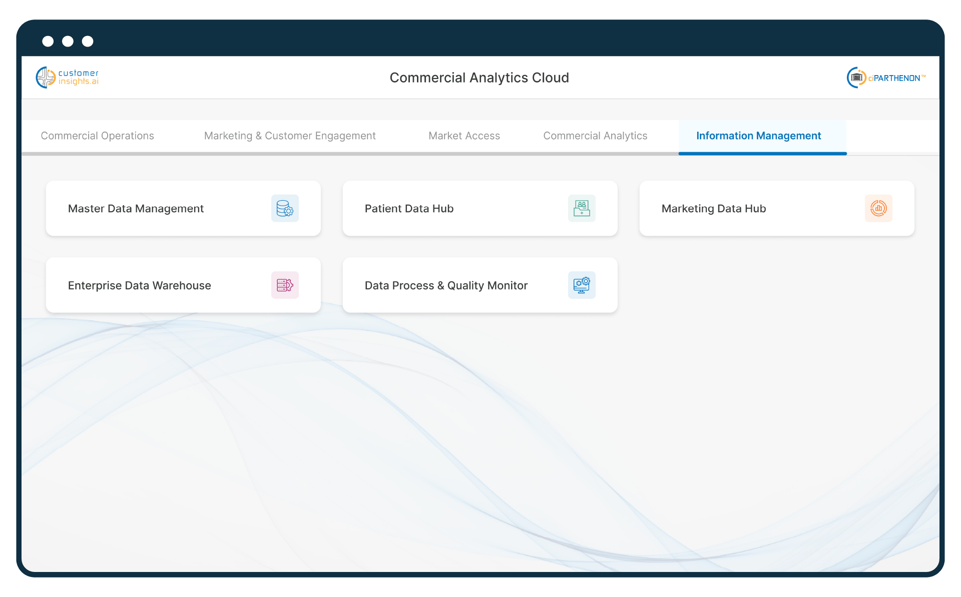Information Management Solutions By Customer Insights information-management-solutions-by-customer-insights